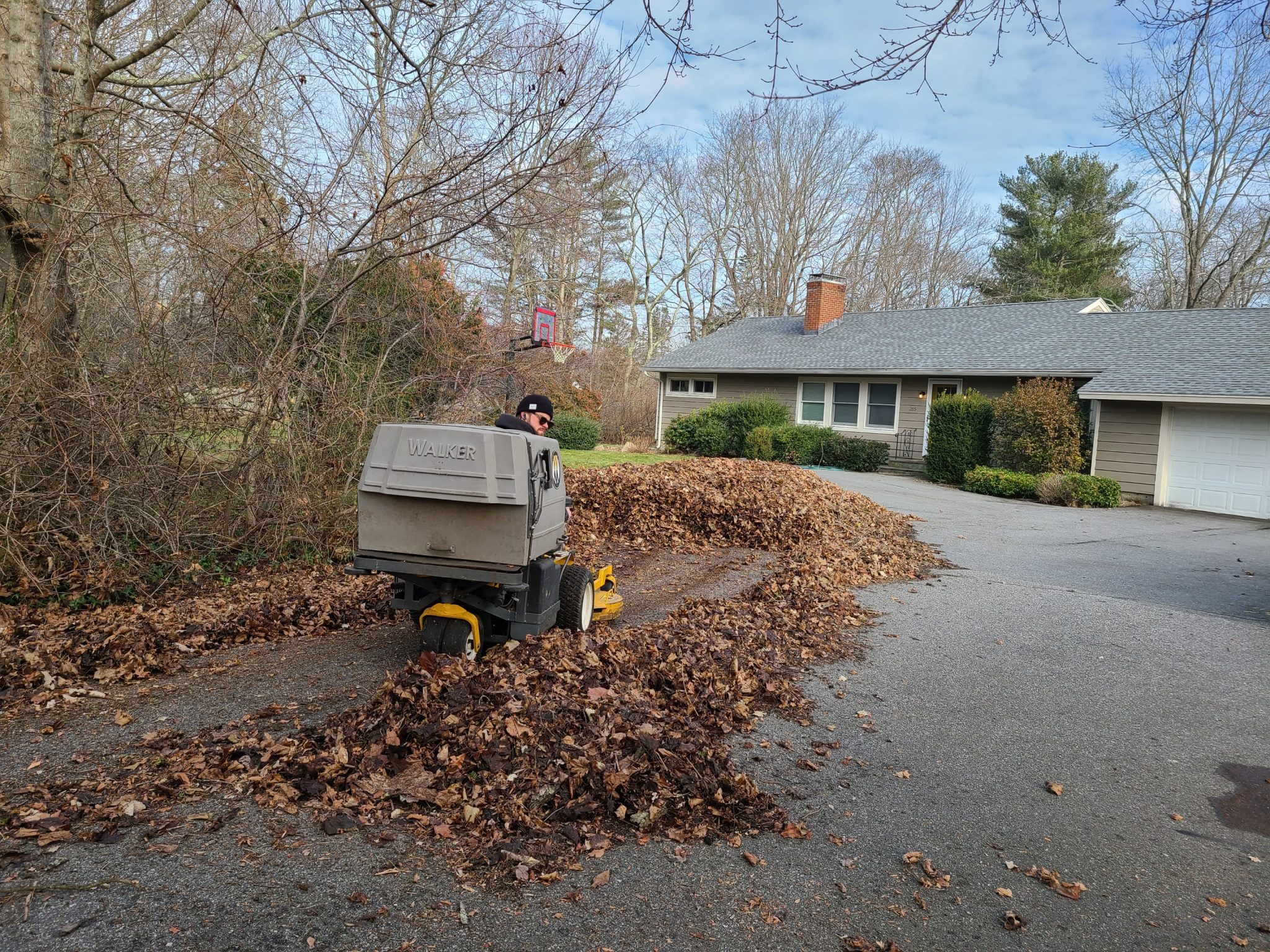 What Does Fall Clean-Up Include? List of Services You Get